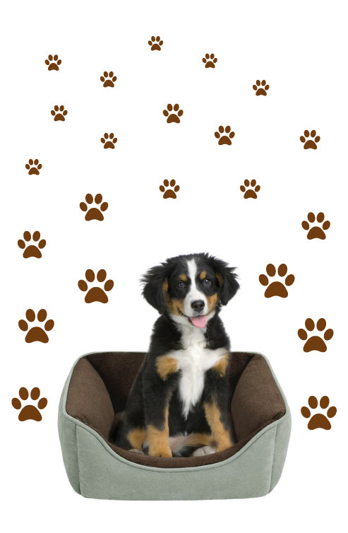 Brown Paw Print Wall Decal | Paw Print Sticker | WhimsiDecals